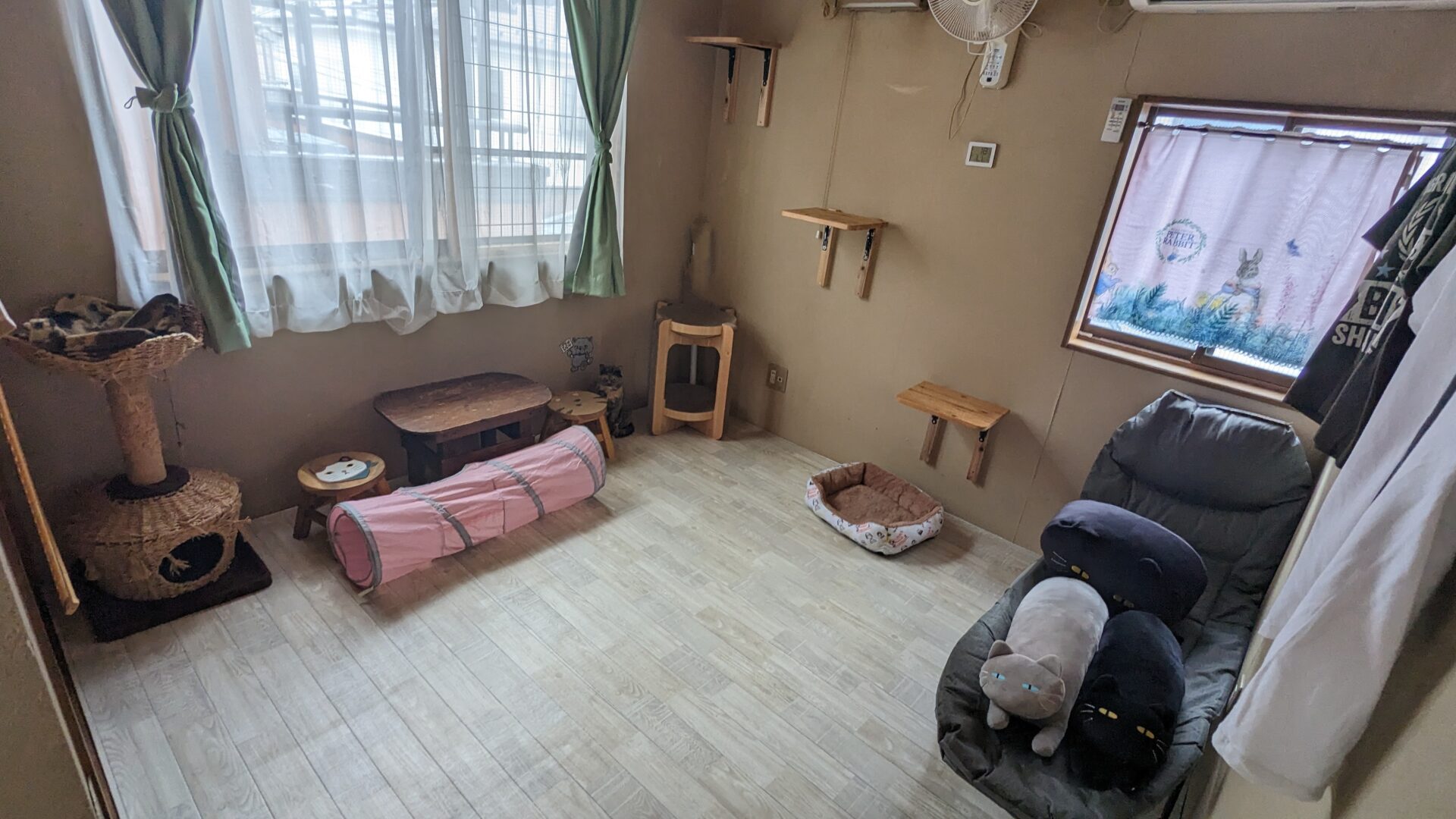 BLUEBEAN cafe - CATTERY BLUEBEAN